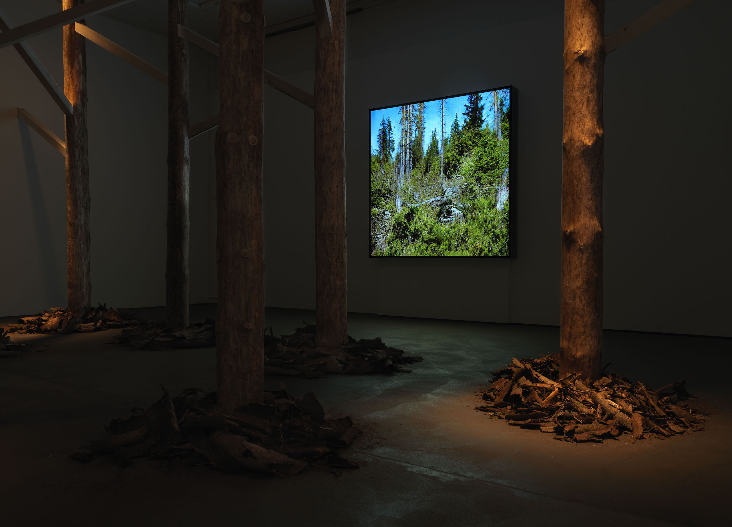 Dittrich Schlechtriem - Andreas Greiner • GALLERY WEEKEND BERLIN