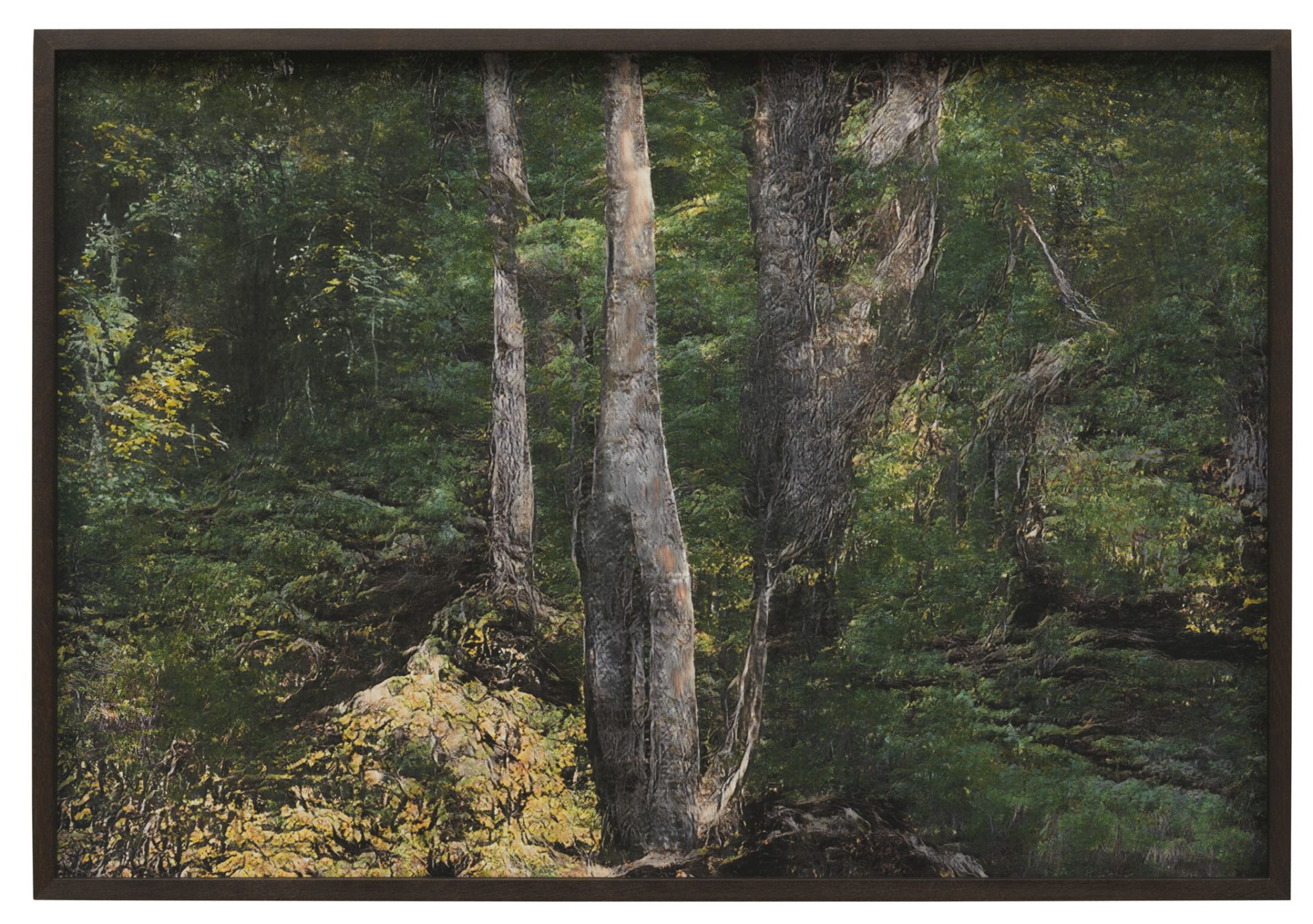 Dittrich Schlechtriem - Andreas Greiner • GALLERY WEEKEND BERLIN