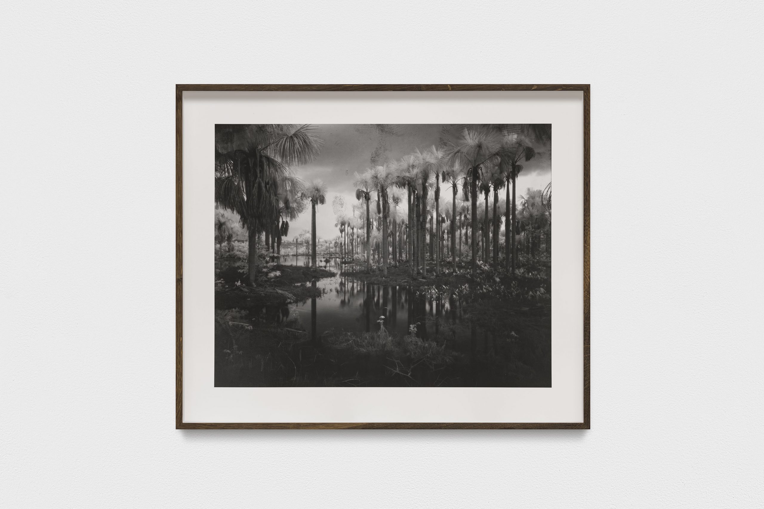 CarlierGebauer - Julie Mehretu, Richard Mosse - Discoveries • GALLERY ...