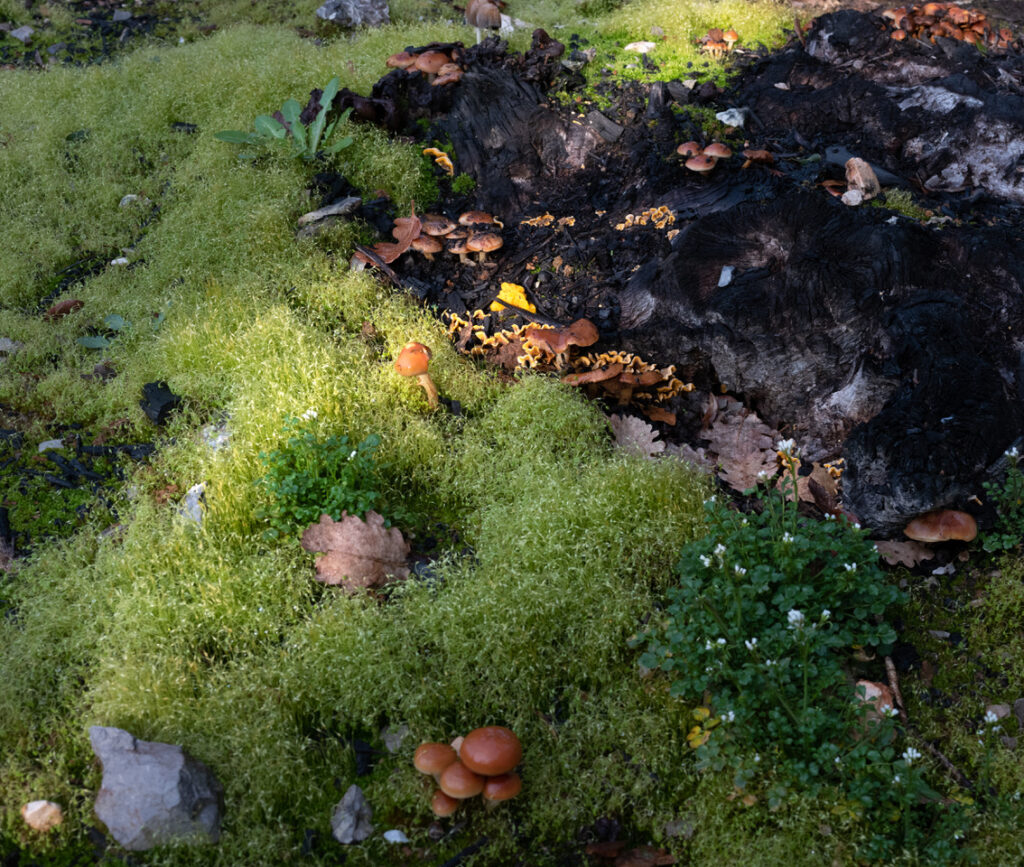 GALERIE BASTIAN • GALLERY WEEKEND BERLIN