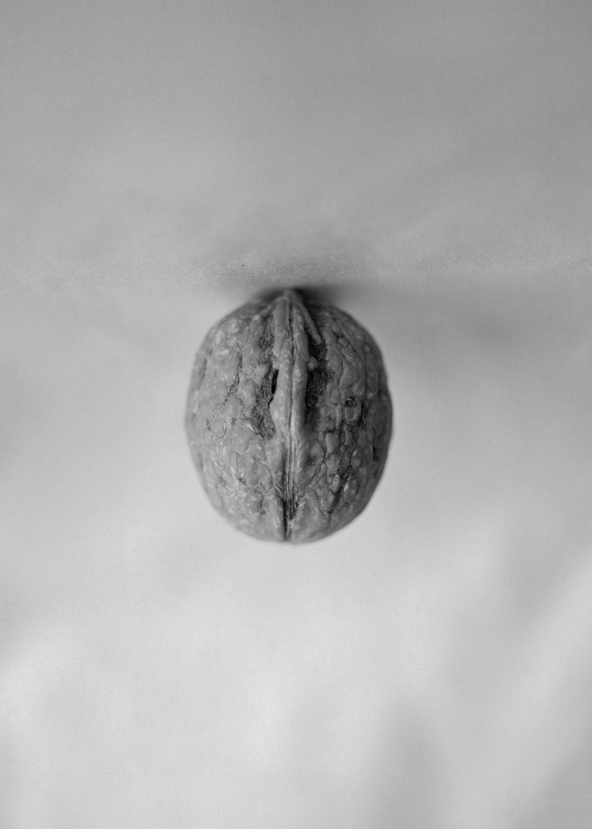 Plan B - 20 Years of Plan B • GALLERY WEEKEND BERLIN